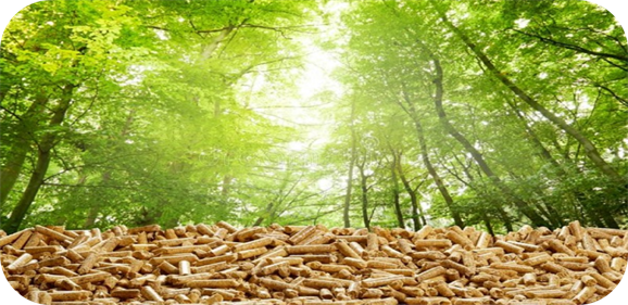 Biomass Co-firing (up to 20%), MSW and Sludge Co-firing | NTPC Limited